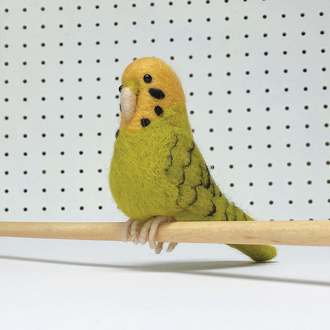 Needle Felting Kit Budgie. Beginners Craft Kit for Adults. Make Your ...
