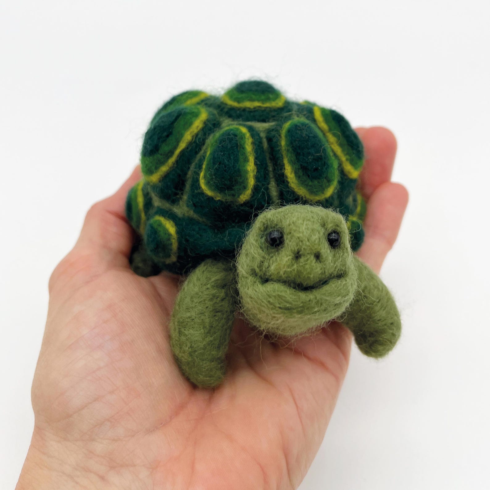 Needle Felting Kit, Tortoise, Craft Kit for Adults and Teens - Etsy