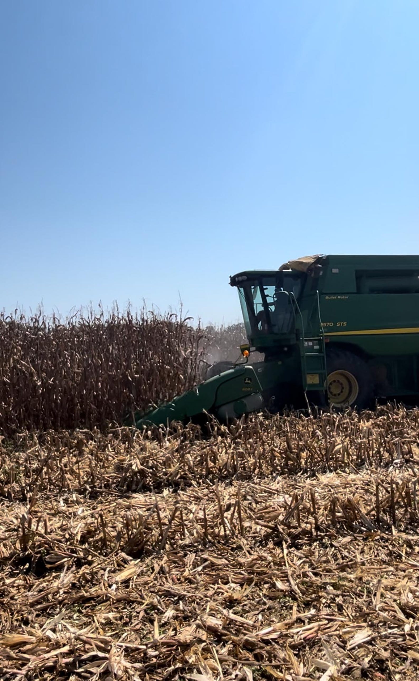 Single A Corn: Premium Shelled and Dried Whole Kernel Corn 21lbs for ...
