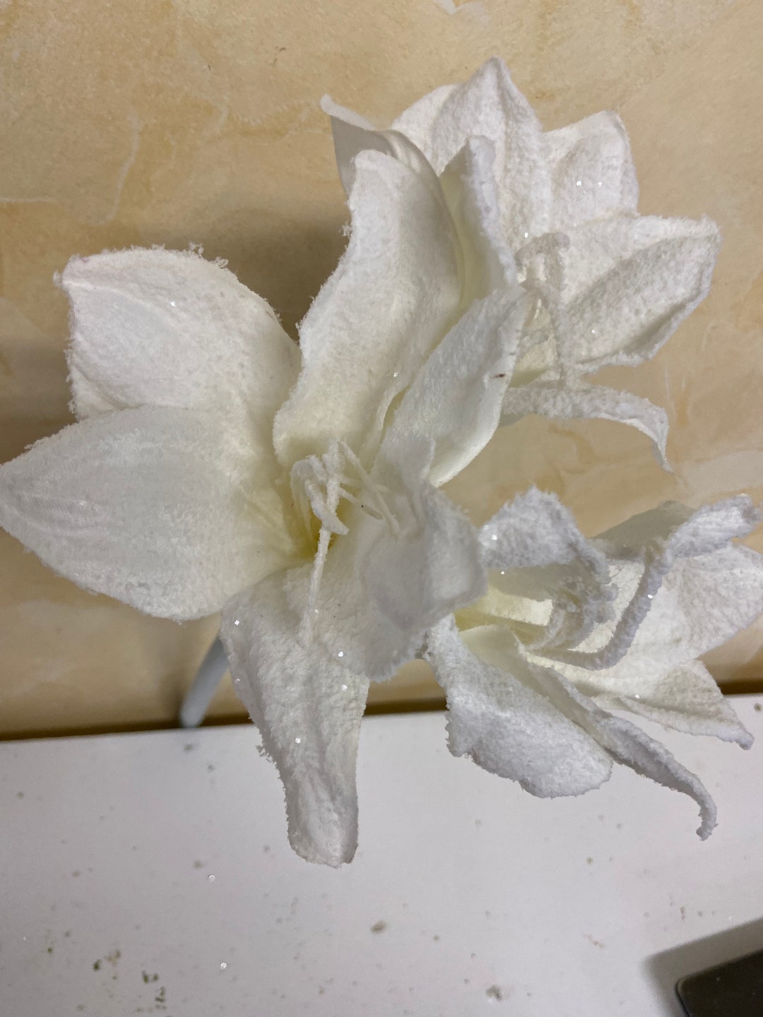 White Iridescent Snow Amaryllis - Etsy