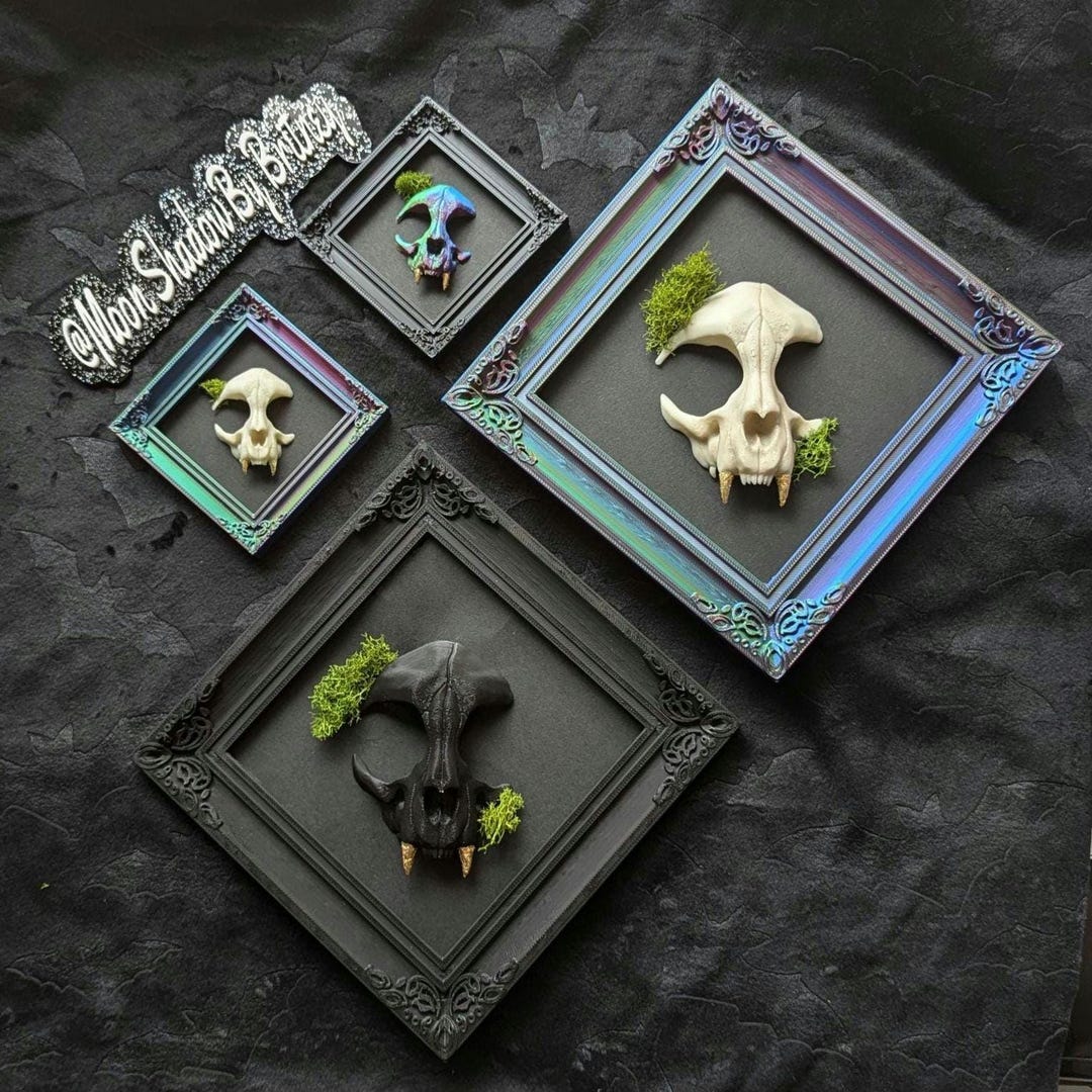 Small Faux Cat Skull Taxidermy Art | SMALL Framed Art | Horror Home ...