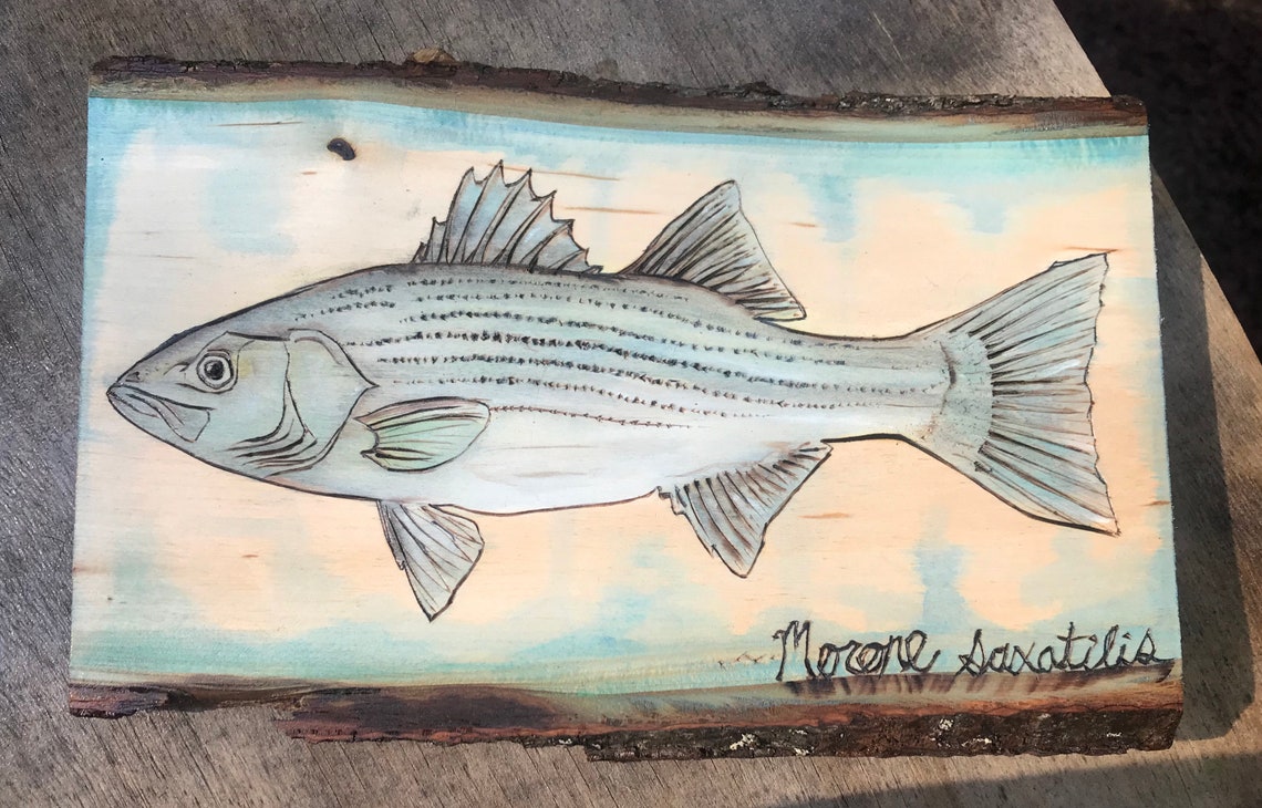 Custom Fish Wood Burning and Water Color made to Order - Etsy