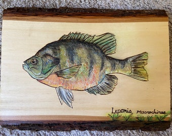 Wood Burning Fish - Etsy