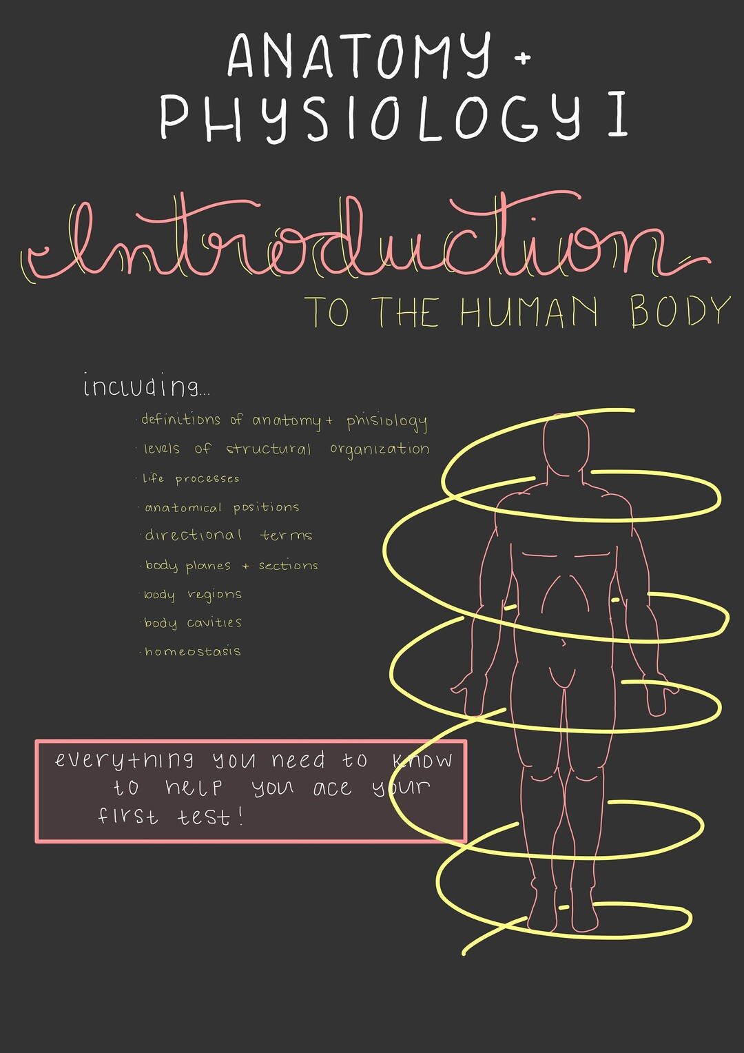 Introduction To The Human Body Study Guide Nursing School Etsy