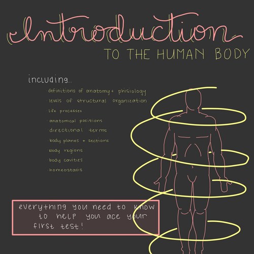 Introduction to the Human Body Study Guide Nursing School - Etsy