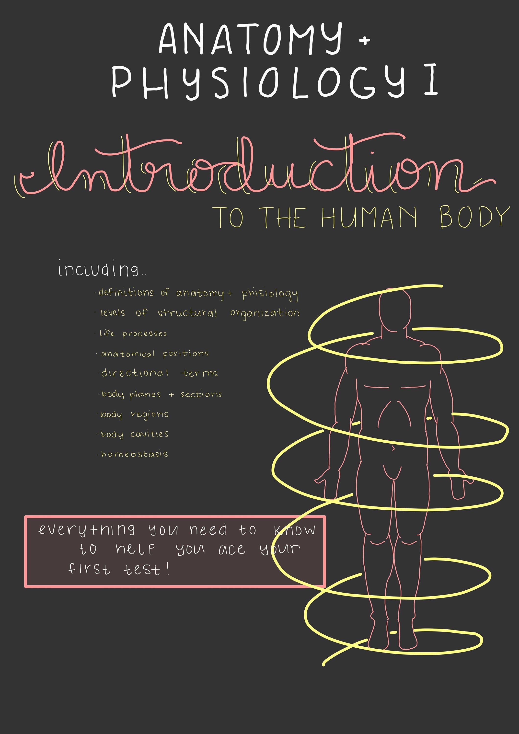 Introduction to the Human Body Study Guide, Nursing School, Anatomy ...