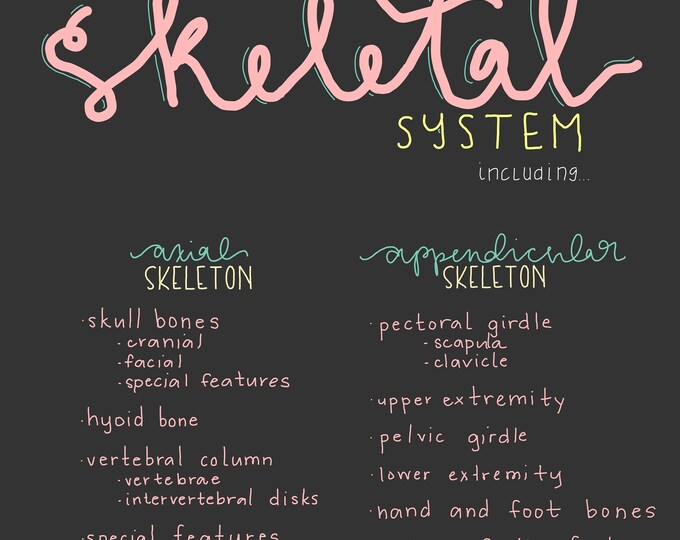 The Skeletal System Study Guide, Anatomy & Physiology, Nursing School ...