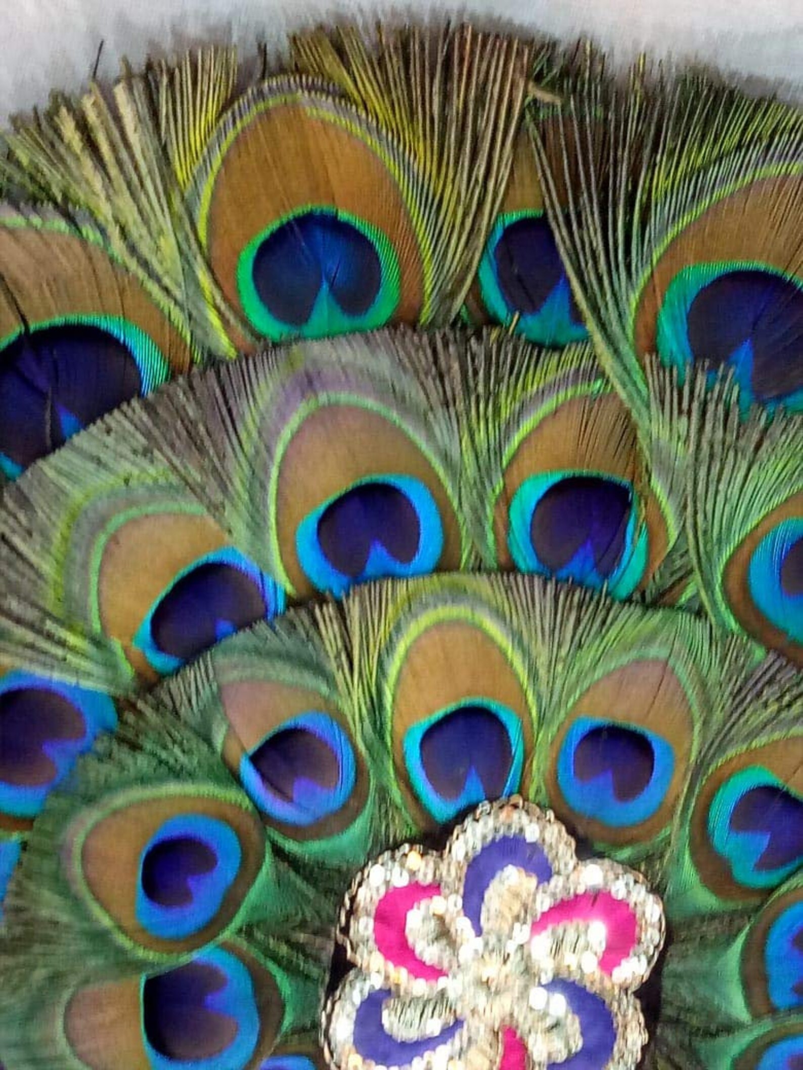 HandFan/Mor Pankh/Mor Pankh for Kahna ji/Peacock Feather Big | Etsy