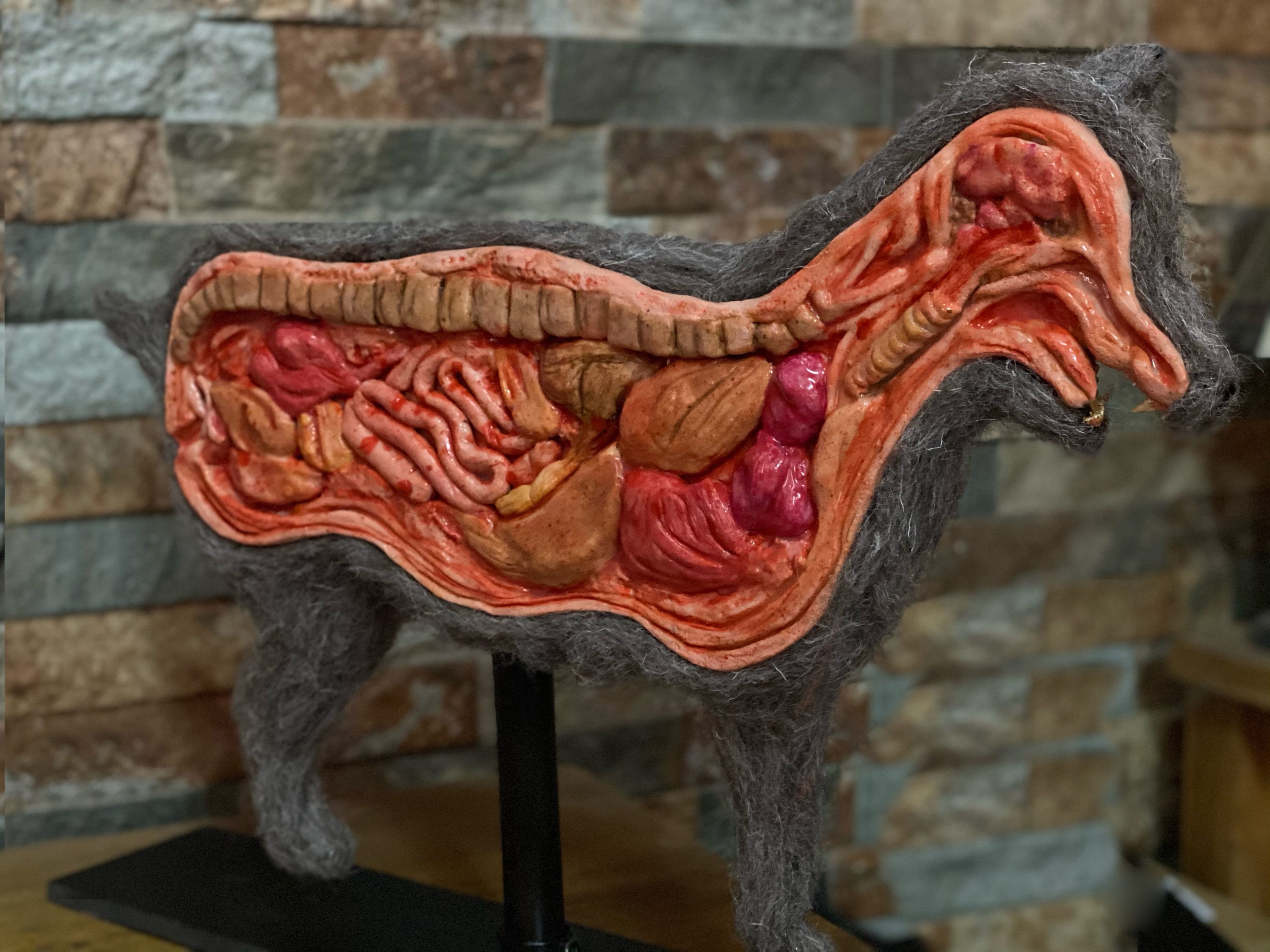 1.1 Scale Split-dog Display Prop - Etsy