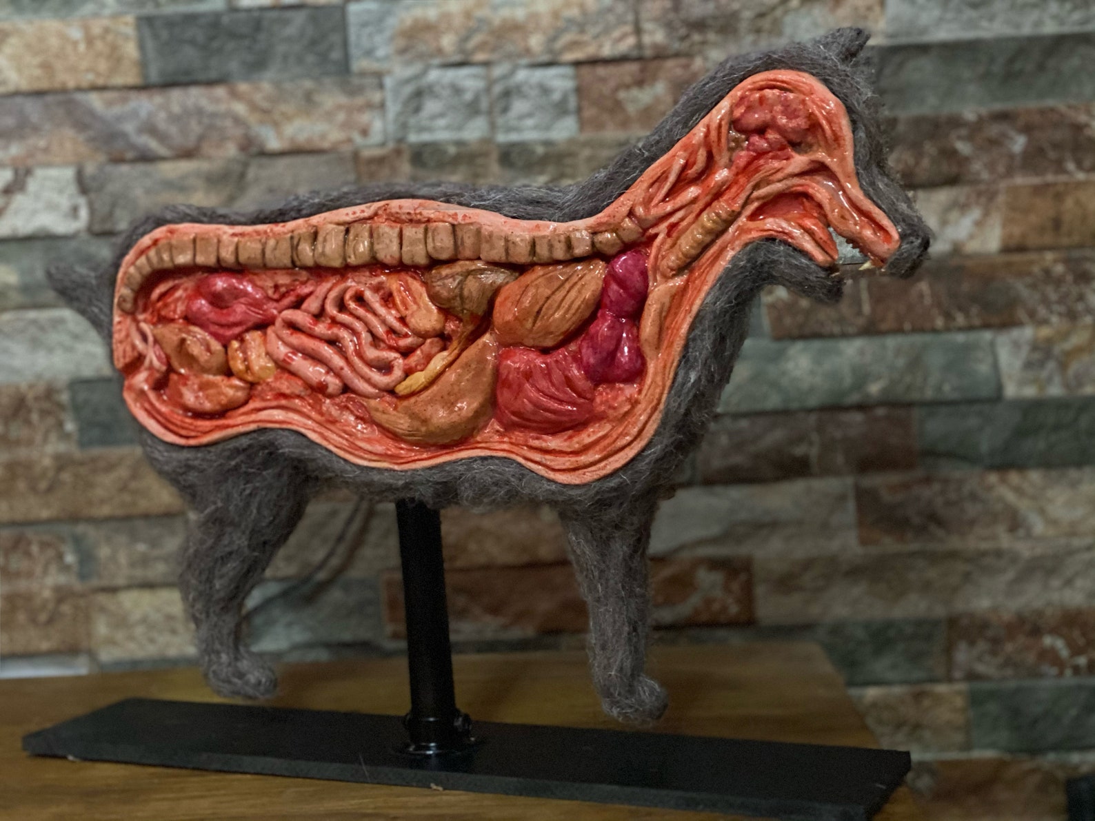 1.1 Scale Split-dog Display Prop - Etsy