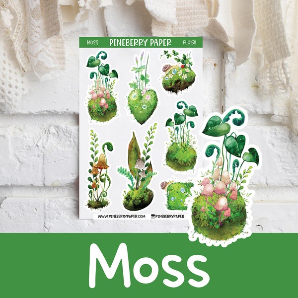 Green Sheet Moss - Etsy