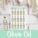 Olive Oil Stickers Food Cooking Recipe Planner Stickers erin Condren ...