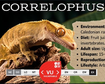 Leopard Gecko Terrarium/vivarium Label - Etsy