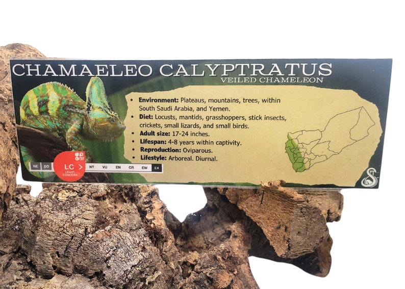 Tomato Frog Terrarium/vivarium Label - Etsy