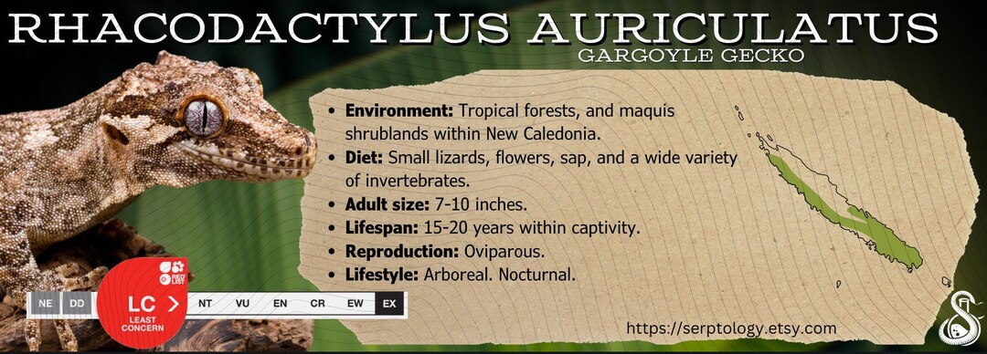 Gargoyle Gecko Terrarium/vivarium Label - Etsy