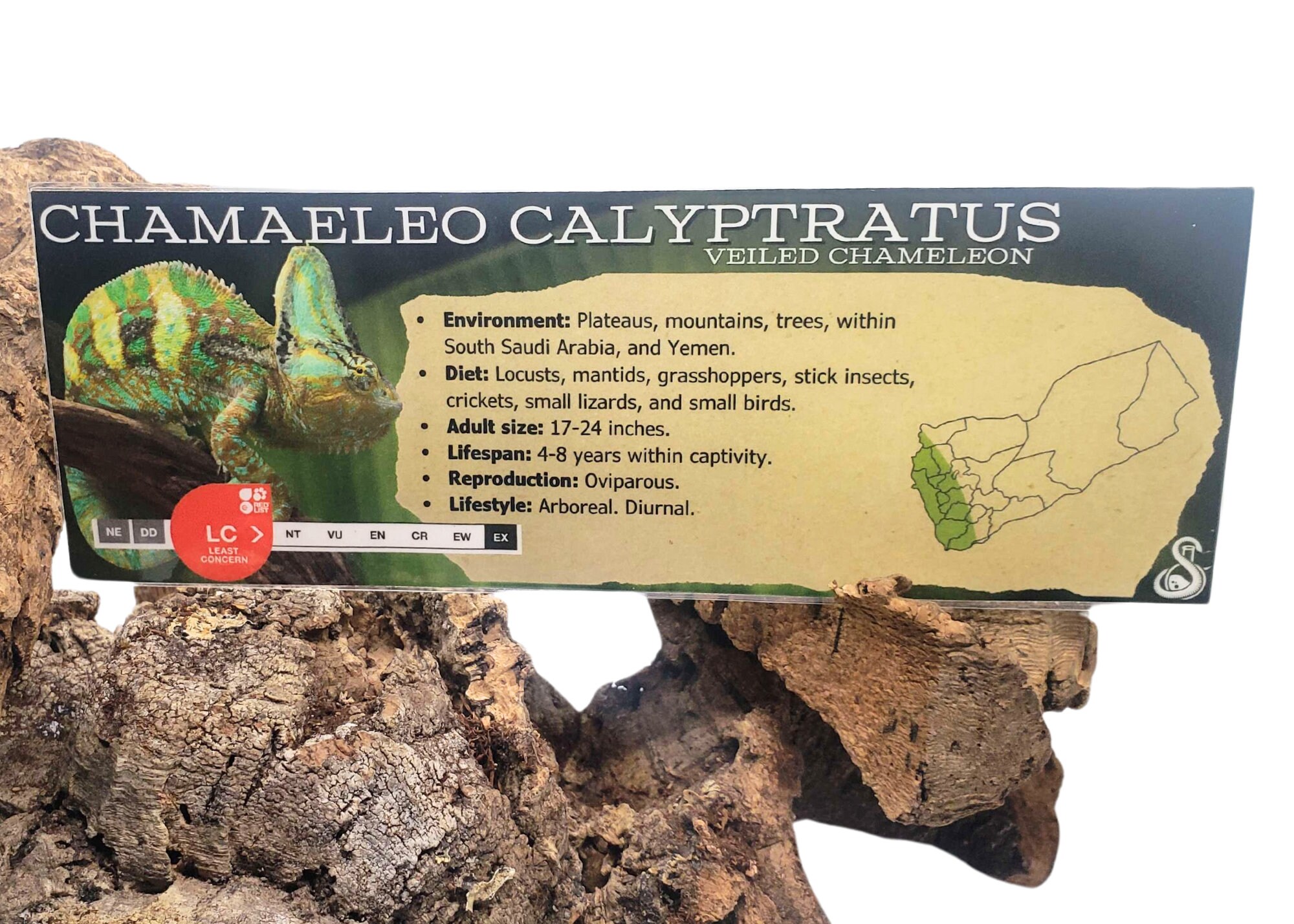 Leopard Gecko Terrarium/vivarium Label - Etsy