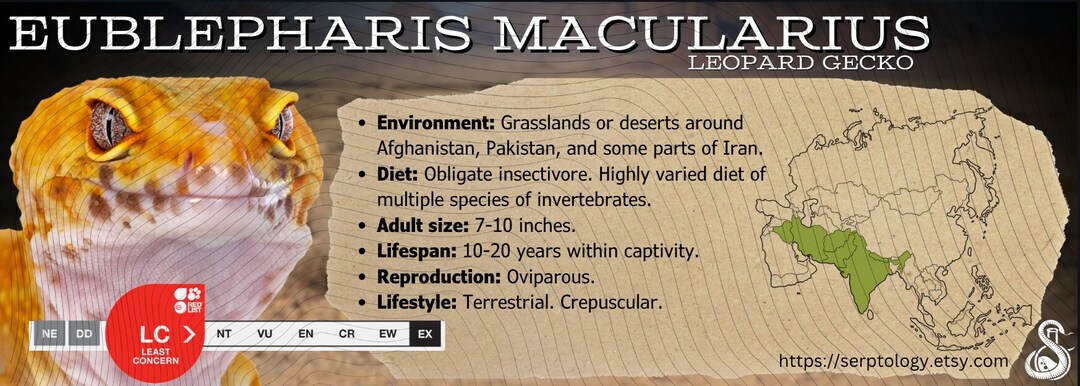 Leopard Gecko Terrarium/vivarium Label - Etsy