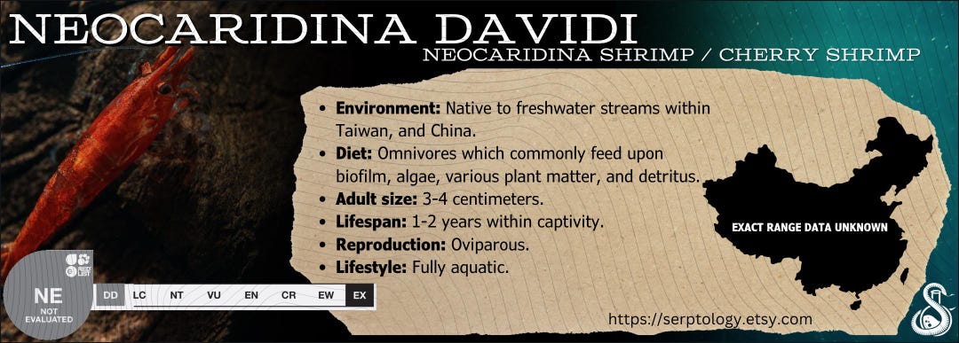 Cherry Shrimp Terrarium/vivarium Label - Etsy