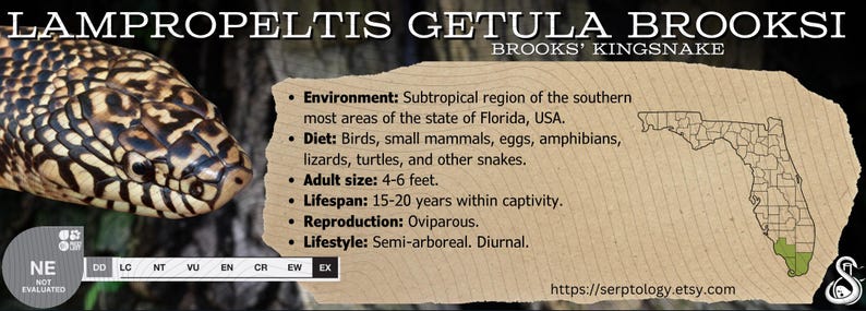 Brooks' Kingsnake Terrarium/vivarium Label - Etsy