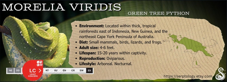 Green Tree Python Terrarium/vivarium Label - Etsy