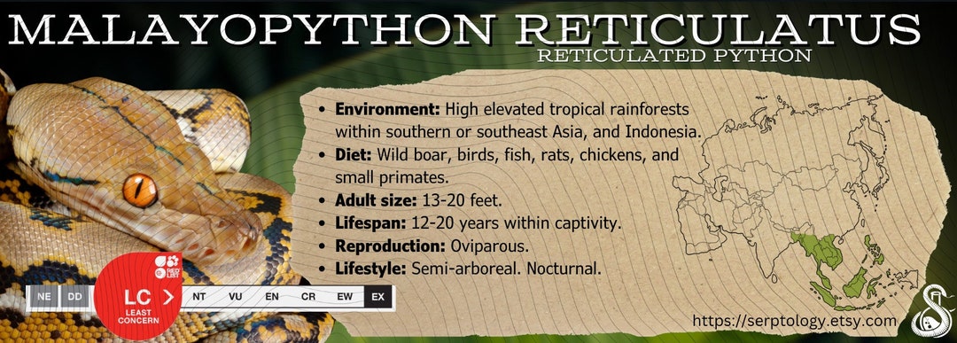 Reticulated Python Terrarium/vivarium Label - Etsy