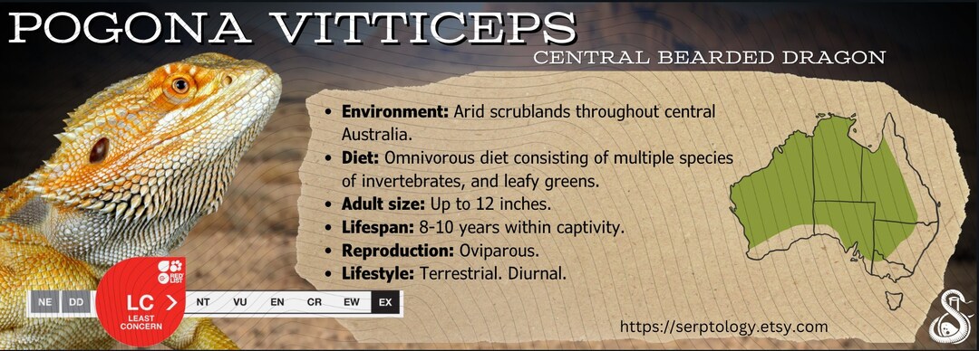 Bearded Dragon Terrarium/vivarium Label - Etsy