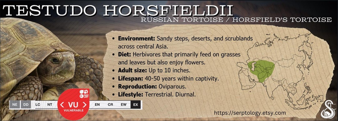 Russian Tortoise Terrarium/vivarium Label - Etsy