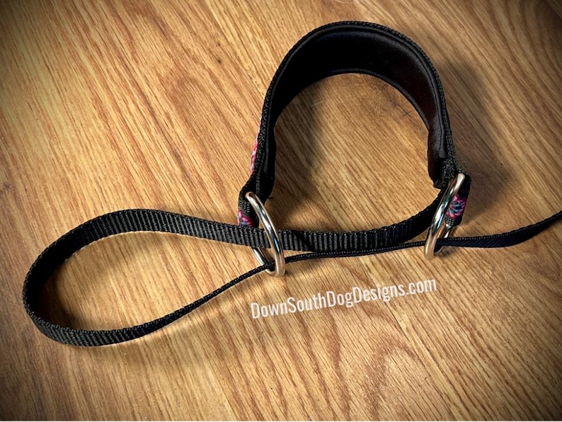 Quick Release Lead "turquoise Gold" Fast CAT, Lure Coursing Slip Lead ...