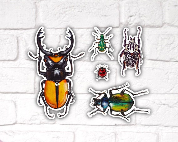 Bug Stickers Vinyl Decal Sets Beetle Stickers Water Bottle | Etsy