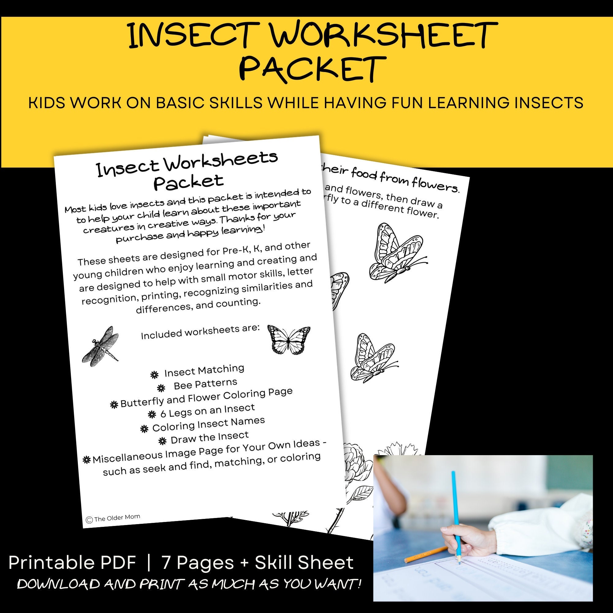 Insect Worksheet Printables Packet | Insect Worksheets for Homeschool ...