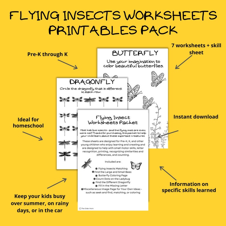 Flying Insect Worksheet Printables Packet | Printable Insect Worksheet ...