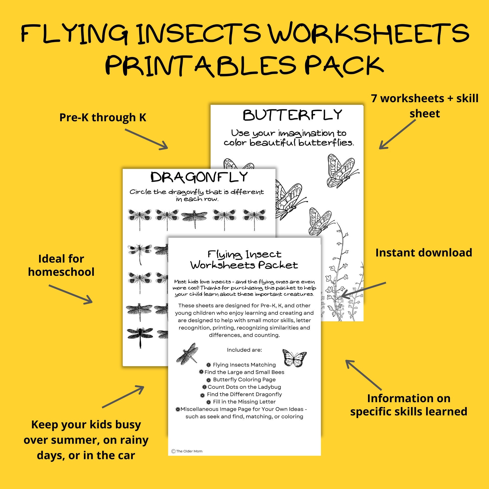 Flying Insect Worksheet Printables Packet | Printable Insect Worksheet ...
