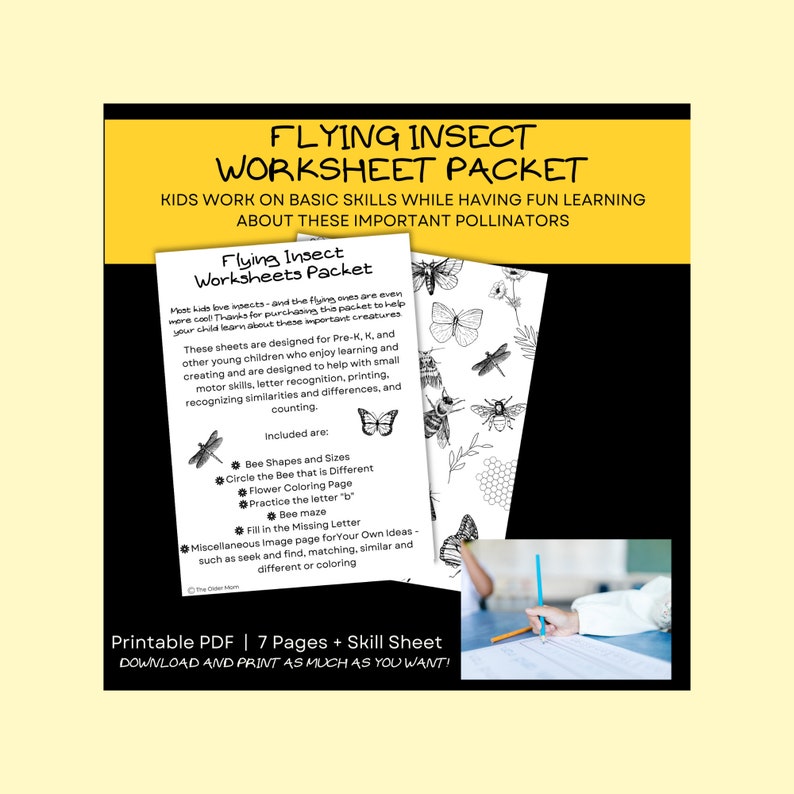 Insect Printables Bundle | Printable Insect Worksheet Bundle | Insect ...