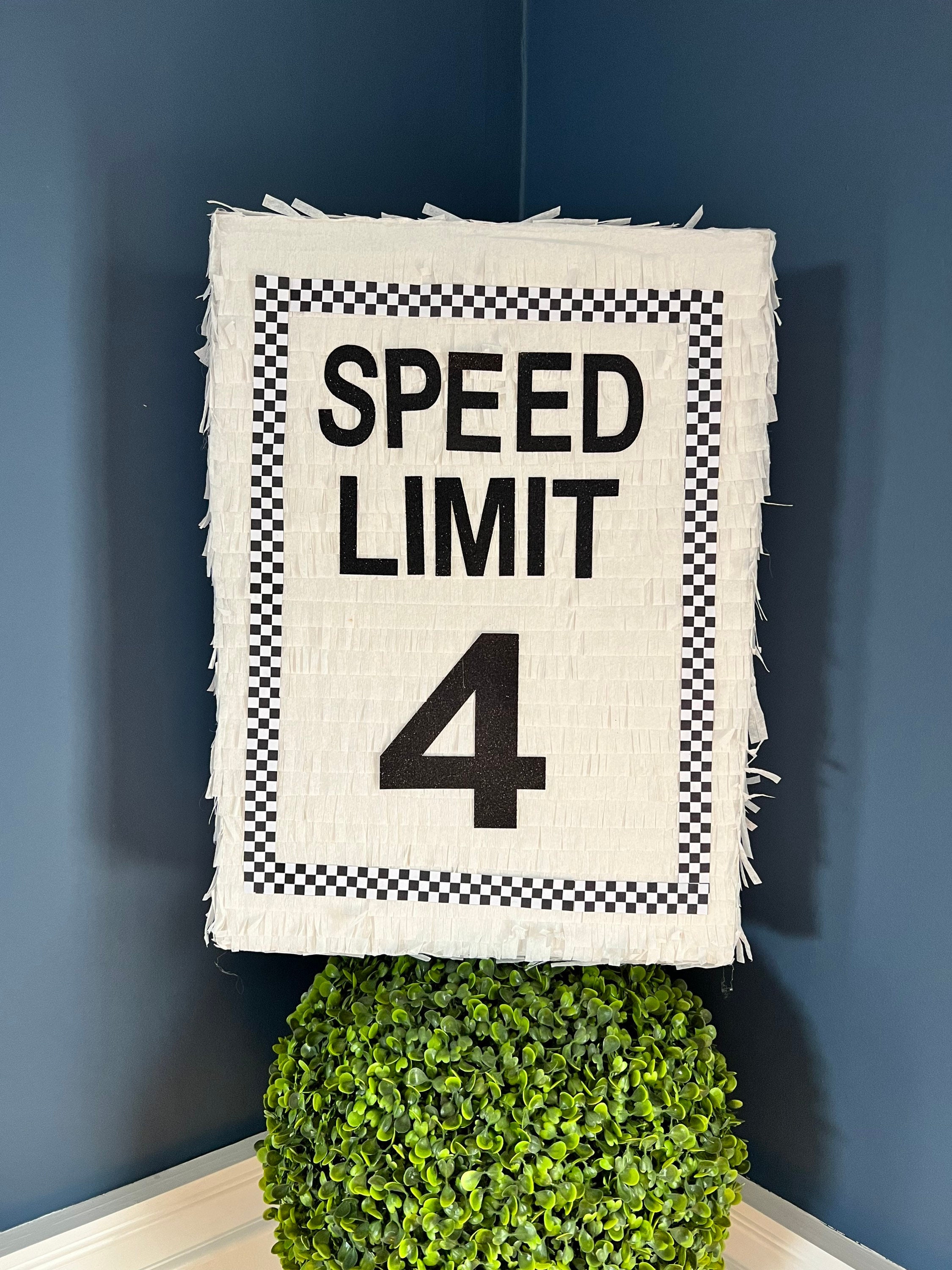 Speed Sign Pinata - Etsy