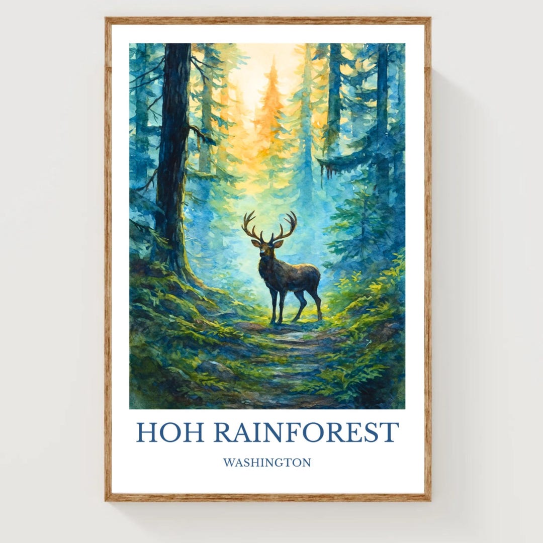 Hoh Rainforest Poster - Etsy