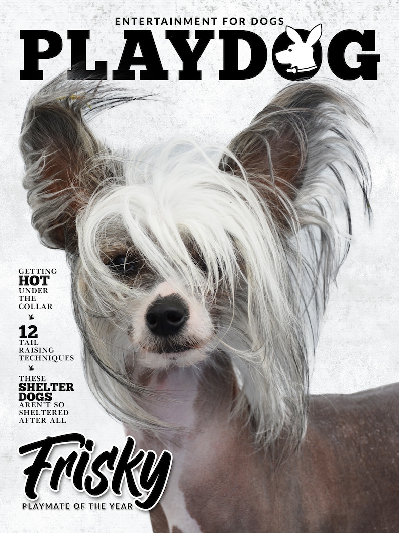 Personalized Dog Prints Magazine Covers Pet Portraits - Etsy Australia