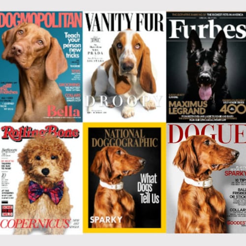 Personalized Dog Prints Magazine Covers Pet Portraits - Etsy