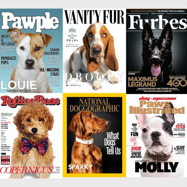 Magazine Cover Art - Etsy