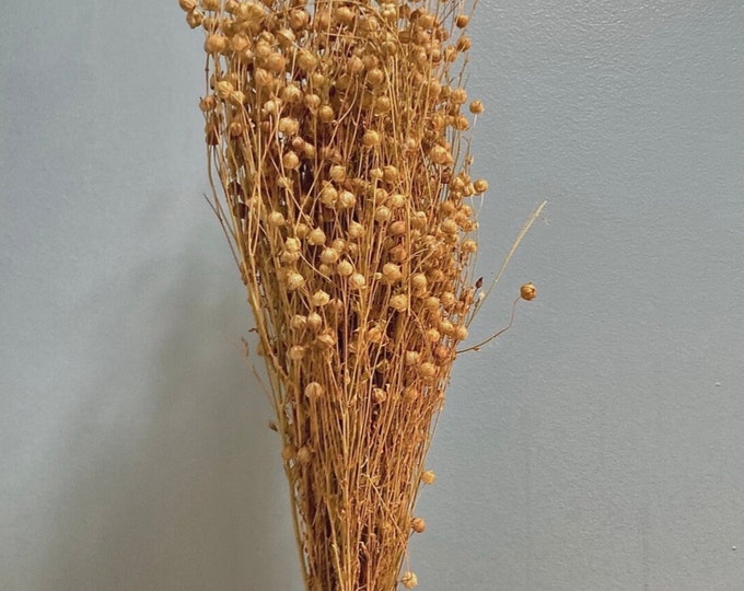 Hamster Flax Sprays Hamster Treat Flax Spray for Hamsters, Gerbils ...