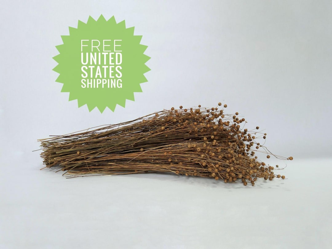 USA Grown Hamster Flaxseed Sprays. Flax Spray Enrichment for Hamsters ...