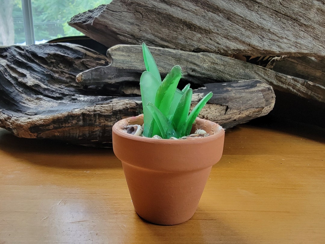 Mini Seaglass Succulent Sculpture 2 Tall Etsy
