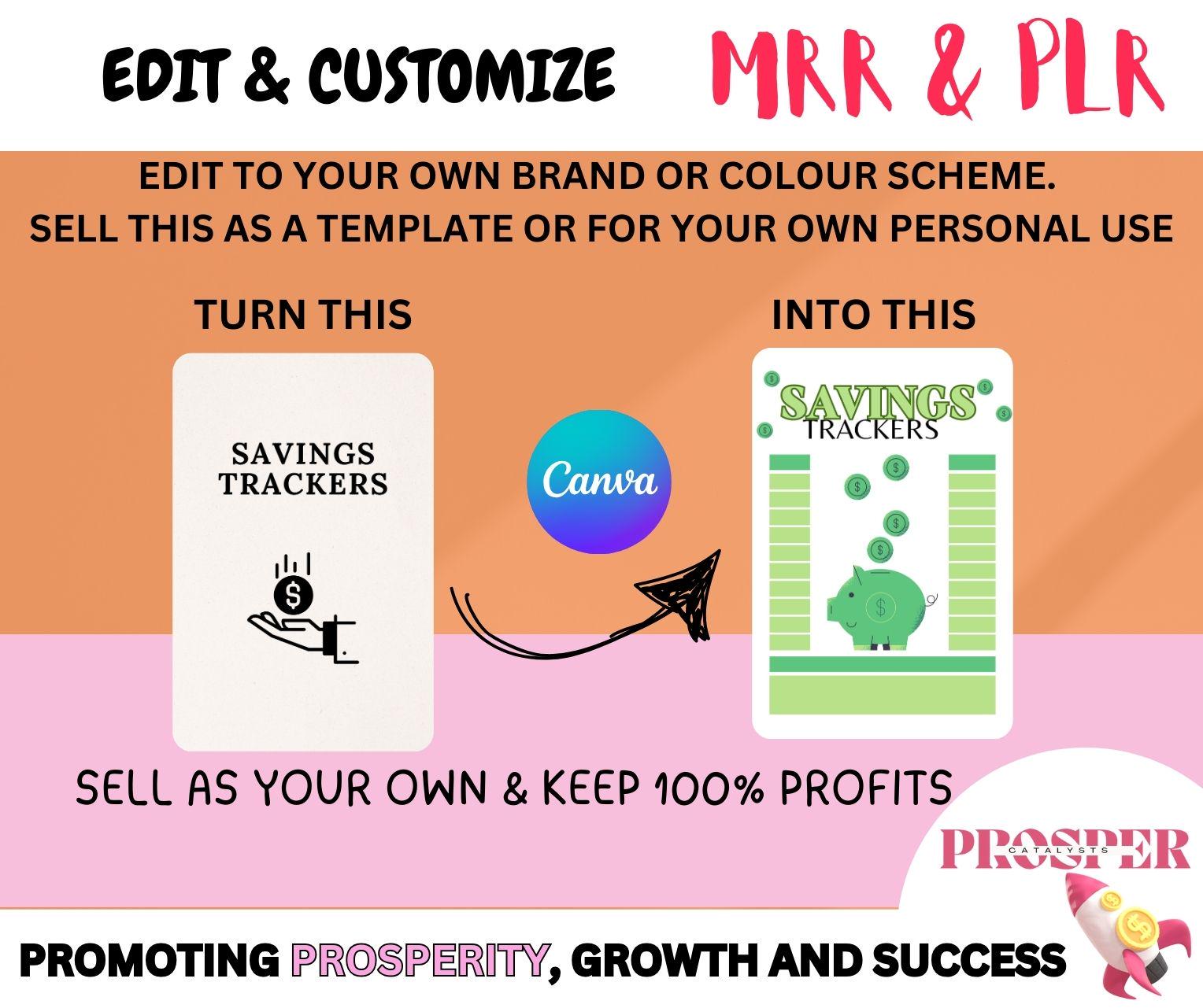 Financial Planner Templates With Master Resell Rights, Financial ...