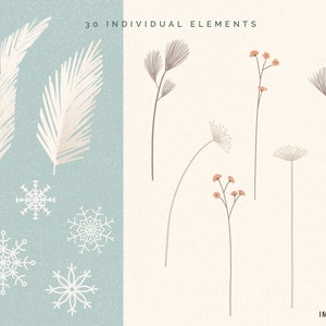 Winter Botanicals Clipart, Christmas Botanicals, Pine Leaf Clipart ...