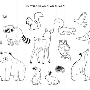 Woodland Animals Line Drawing Clipart SVG, Animals Outline, Nursery ...