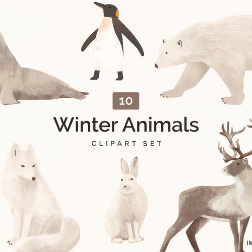 Arctic Animals Clipart Winter Animals Clip Art Polar Bear - Etsy