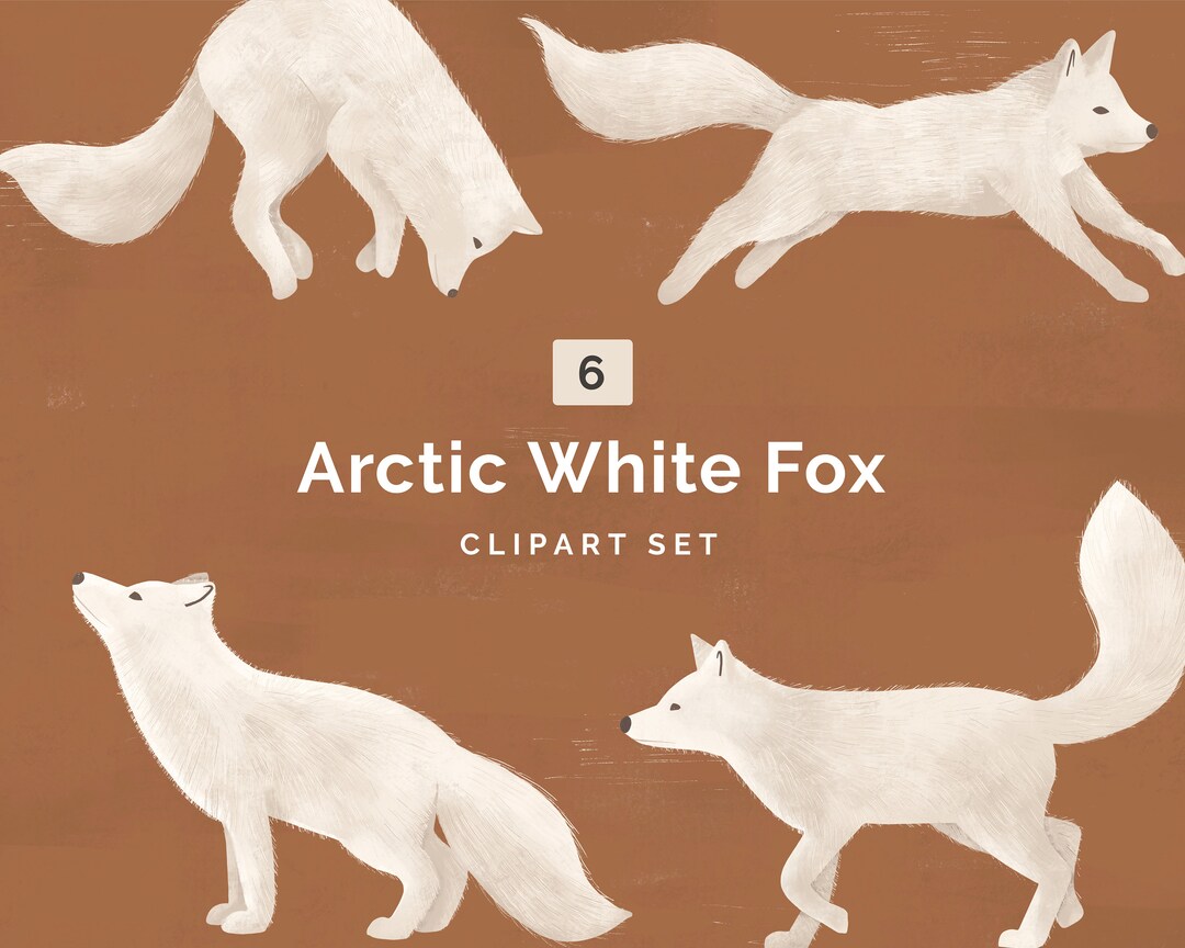 Arctic White Fox Clipart, Winter Snow Fox PNG, Snow Arctic Animals PNG ...