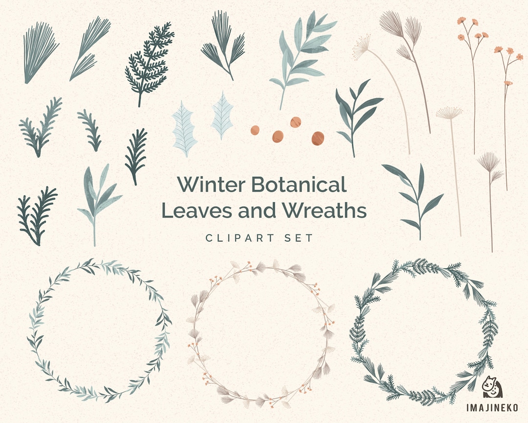 Winter Botanicals Clipart, Christmas Botanicals, Pine Leaf Clipart ...