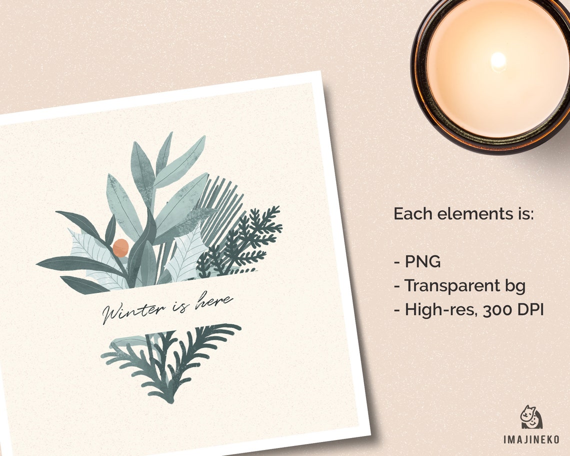 Winter Botanicals Clipart, Christmas Botanicals, Pine Leaf Clipart ...