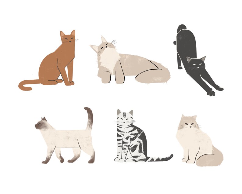 Cats Clipart Illustration, Cute and Elegant Kitty PNG, Kawaii Neko, Cat ...
