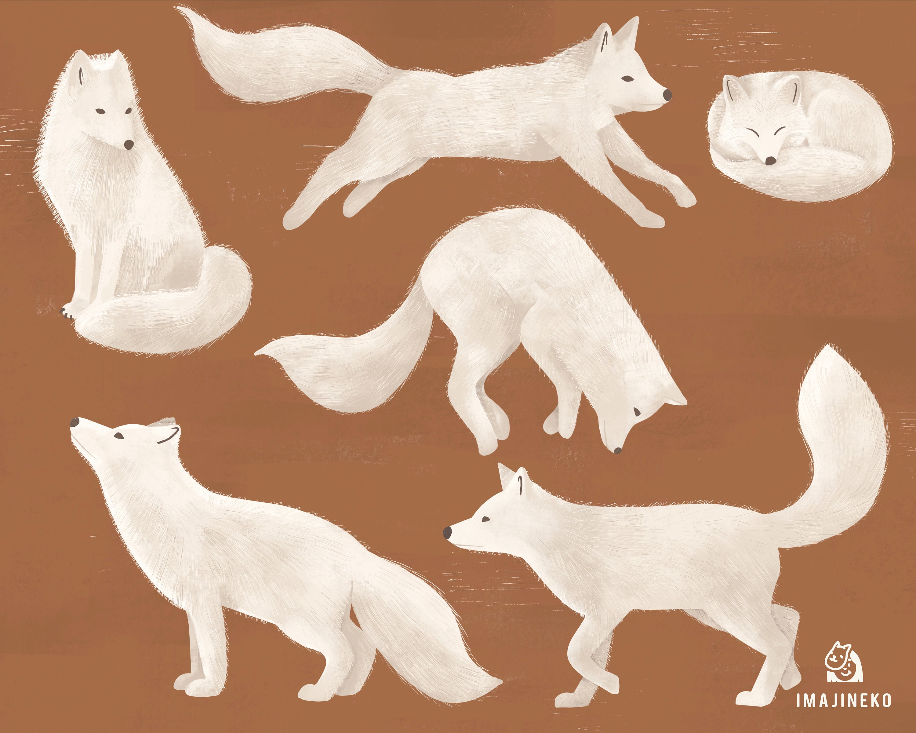 Arctic White Fox Clipart, Winter Snow Fox PNG, Snow Arctic Animals PNG ...